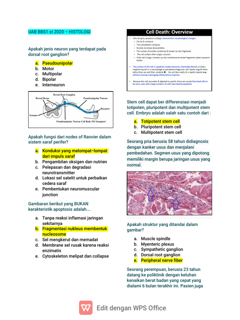 Histologi Neuron dan Stem Cell dalam Medis | PDF | Sains & Matematika