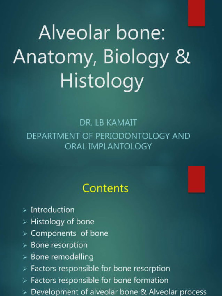 Alveolar Bone 71618659 | PDF