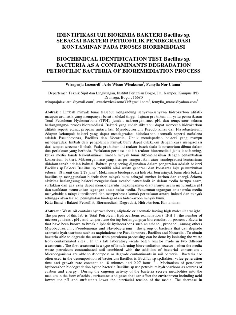 IDENTIFIKASI UJI BIOKIMIA BAKTERI Bacill | PDF