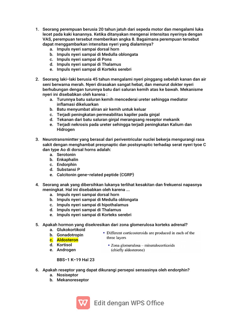 Uab Fisio 2022 | PDF