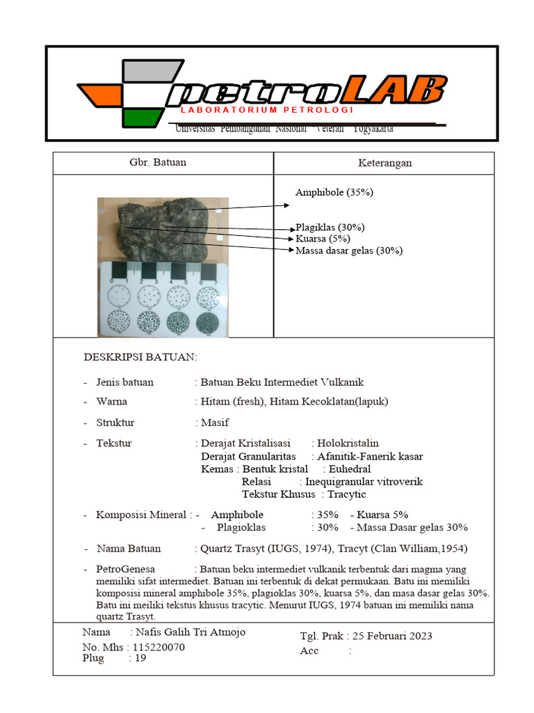 DESKRIP PETROLOGI Batuan Beku Intermediet | PDF