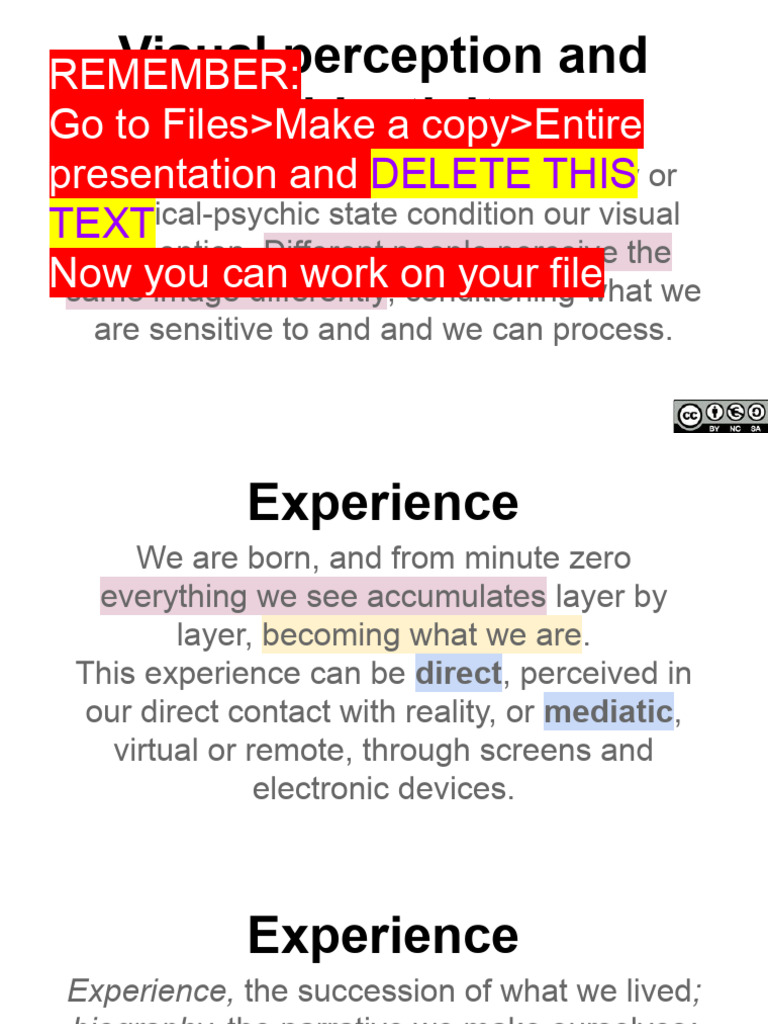 Understanding Visual Perception | PDF | Race (Human Categorization ...
