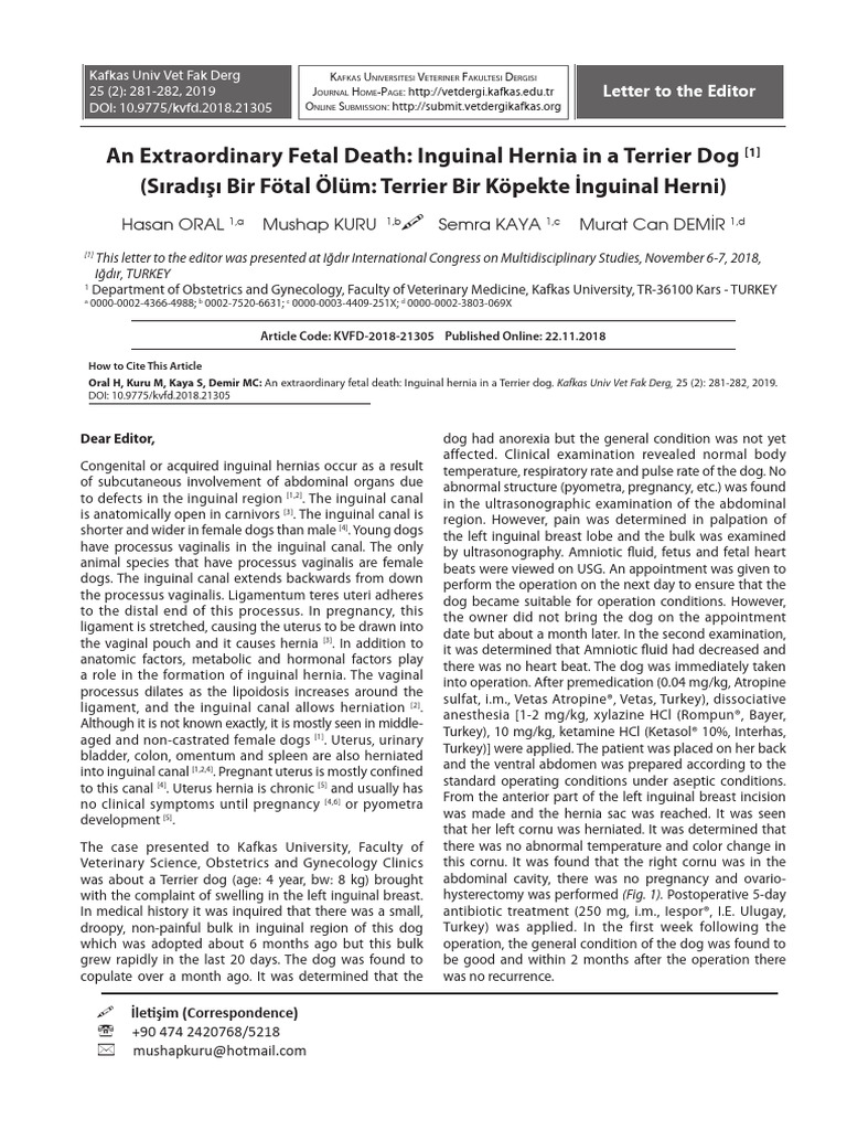Inguinal Hernia in A Terrier Dog | PDF | Uterus | Pregnancy