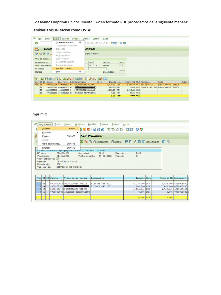 Manual para Grabar Un Documento SAP en PDF | PDF