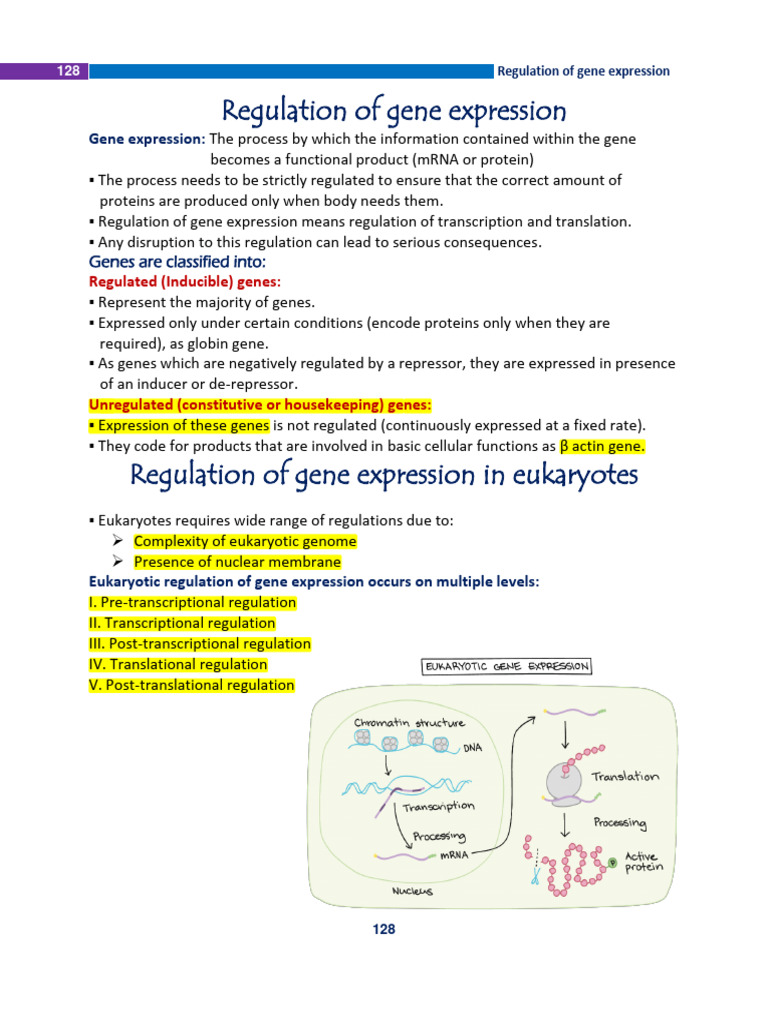 Gene Expression Regulation Explained | PDF | Regulation Of Gene ...