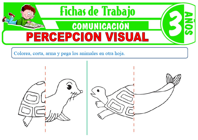 Percepcion Visual para Ninos de 3 Anos | PDF