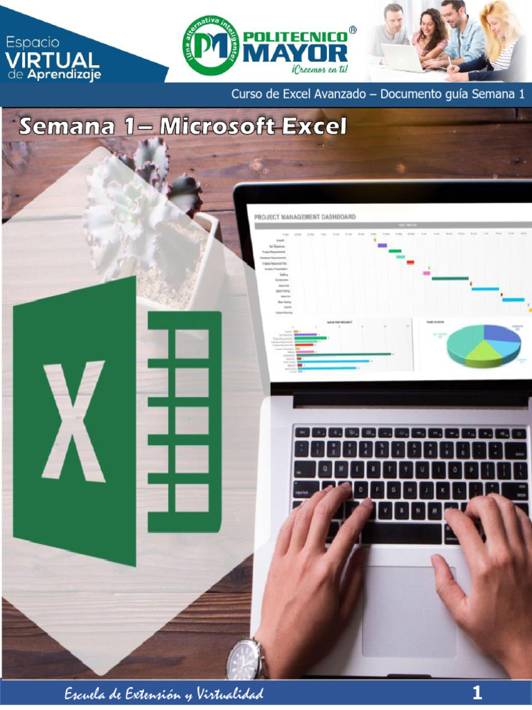 Documento Excel Avanzado (Semana 1) | PDF | Microsoft Excel | Bases de datos