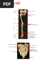 Rom Isom | PDF | Human Anatomy | Limbs (Anatomy)