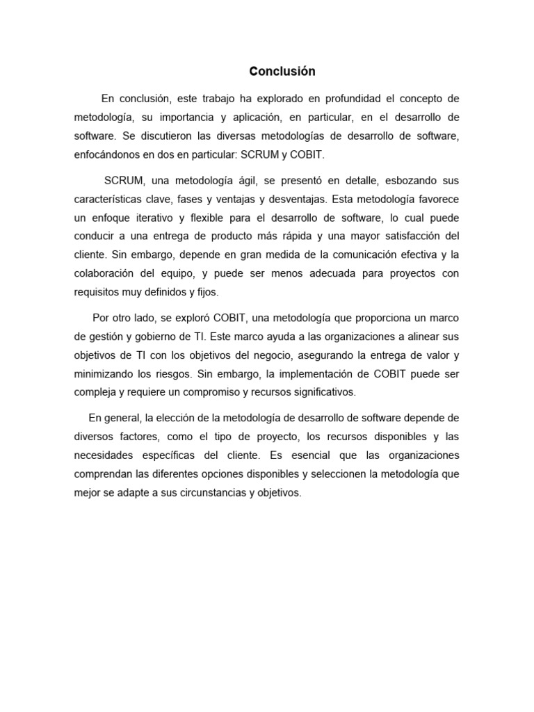 Conclusión | PDF | Negocios | Informática