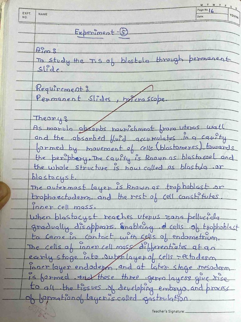Bio Practical 5-8 | PDF