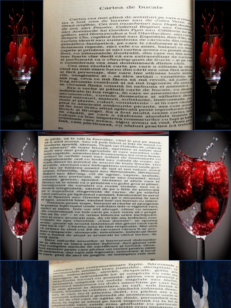 Exuvii - Simona Popescu | PDF