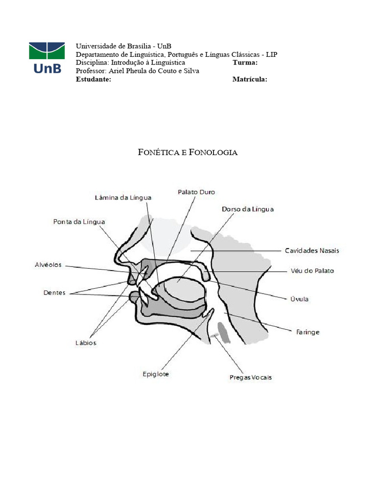 Introling Fonética E Fonologia Atividades Pdf Fonética Vogal