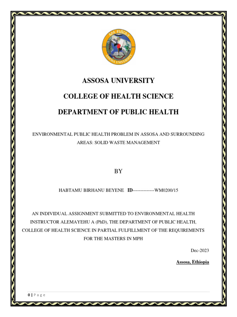 Solid Wast Final Individual Assignments | PDF | Waste Management | Waste