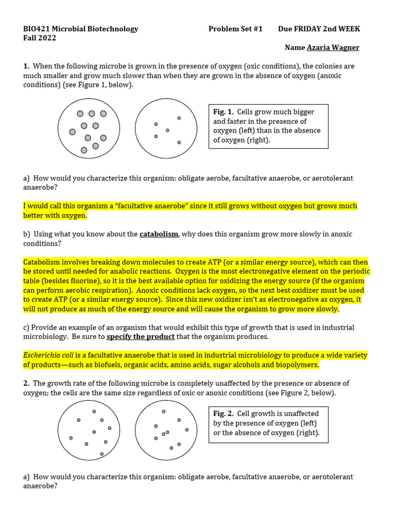Applied Microbiology Problem Set 1 | PDF | Bacteria | Cellular Respiration