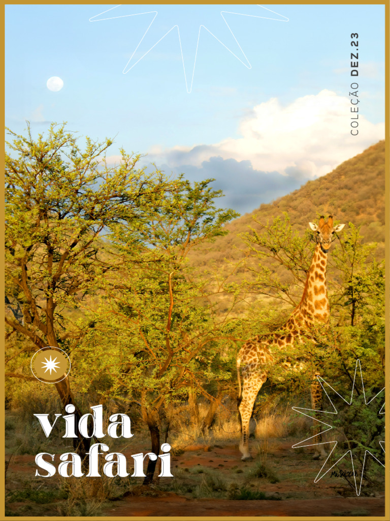 Vida Safari - Catálogo - Miseixas - Art | PDF