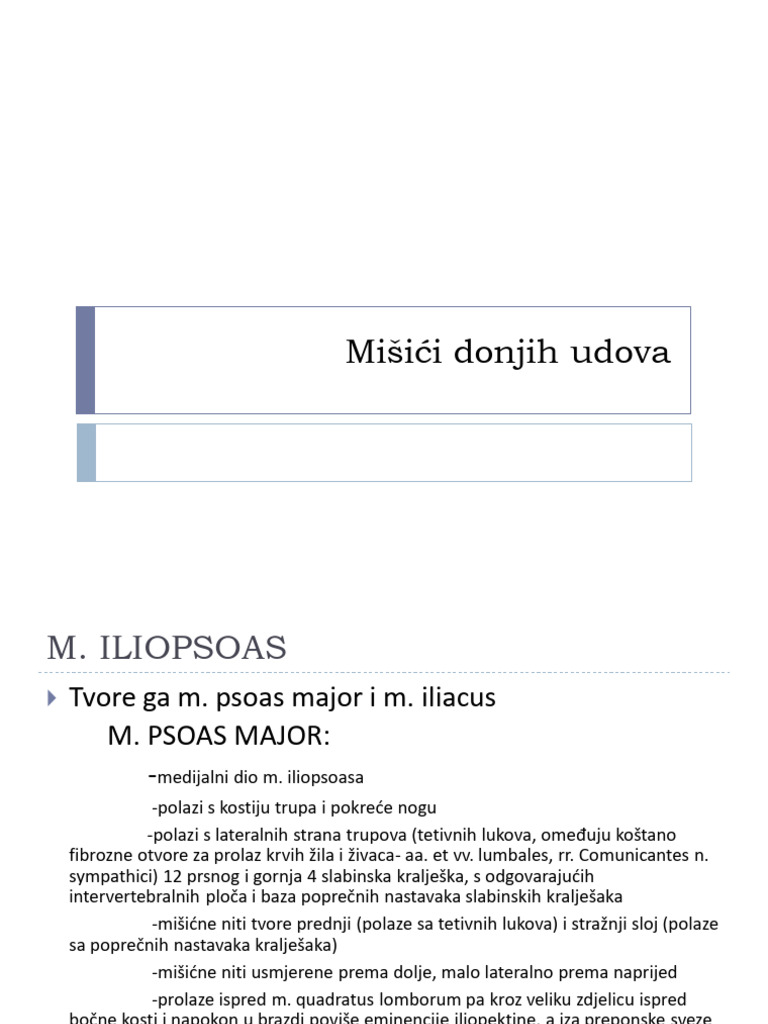 50Misici donjih udova | PDF