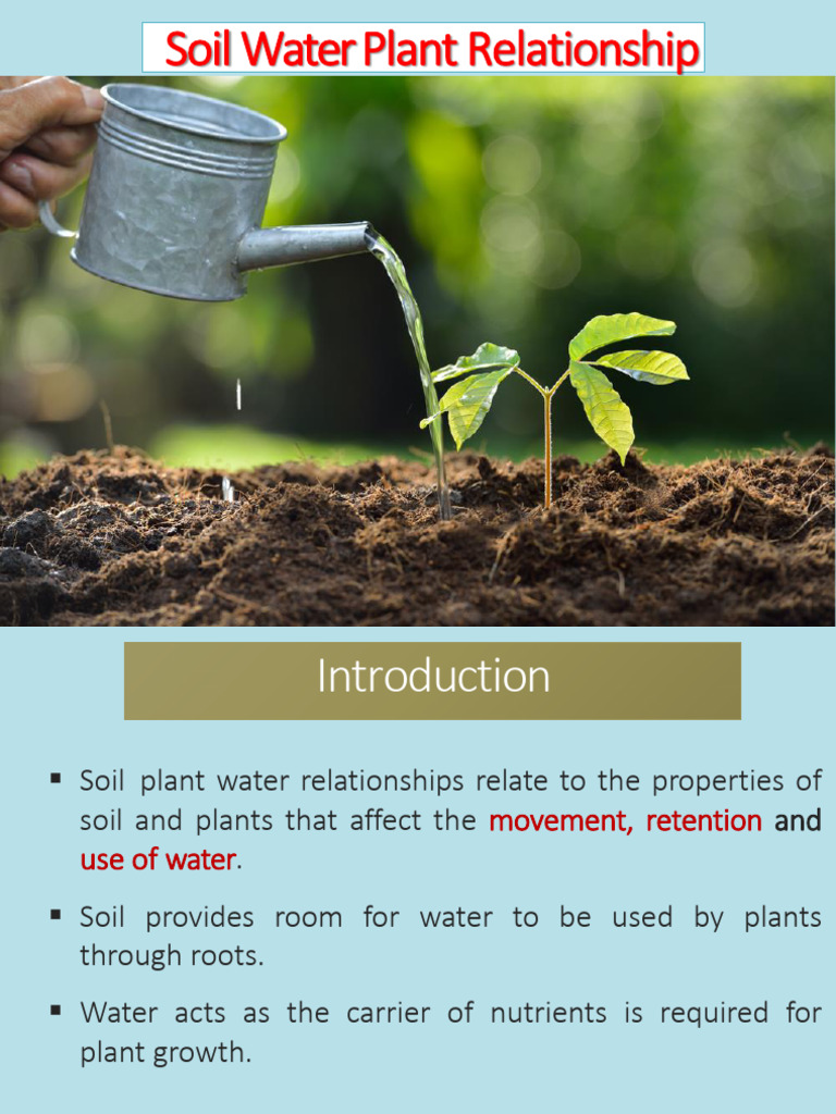 Soil Water Plant Relationship-1 | PDF | Soil | Sand