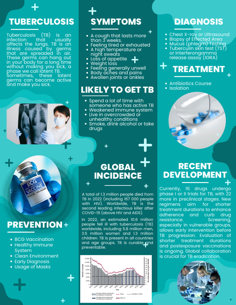 Leaflet - Tuberculosis | PDF | Tuberculosis | Epidemiology