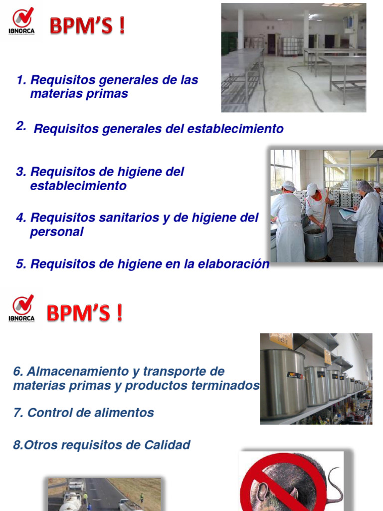Implementacion de BPM-3-1 | Descargar gratis PDF | Alimentos | Contaminación