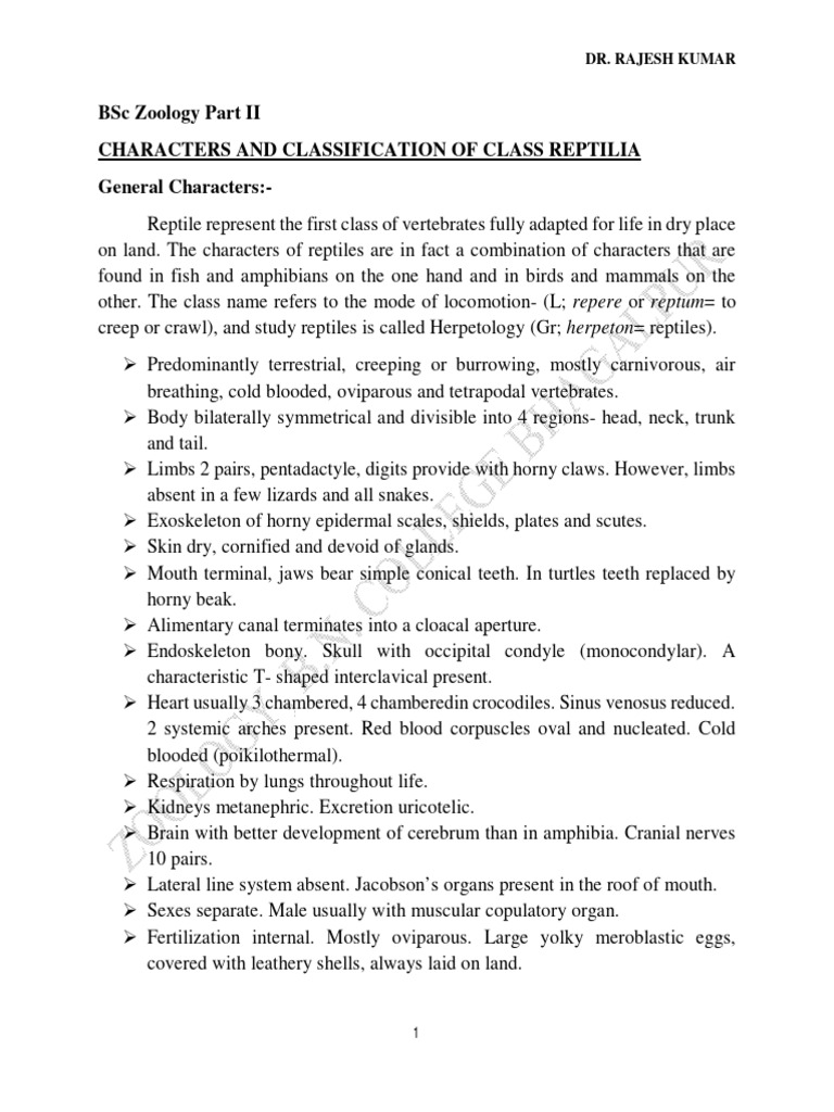 Reptilia: Characteristics and Classification | PDF | Reptile | Turtle