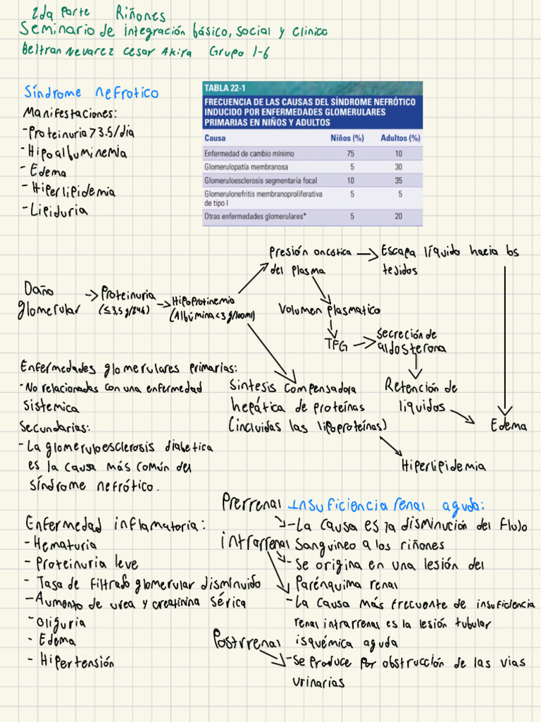 Cesar Akira Beltran Nevarez - Renal Parte 2 | PDF | Edema | Riñón