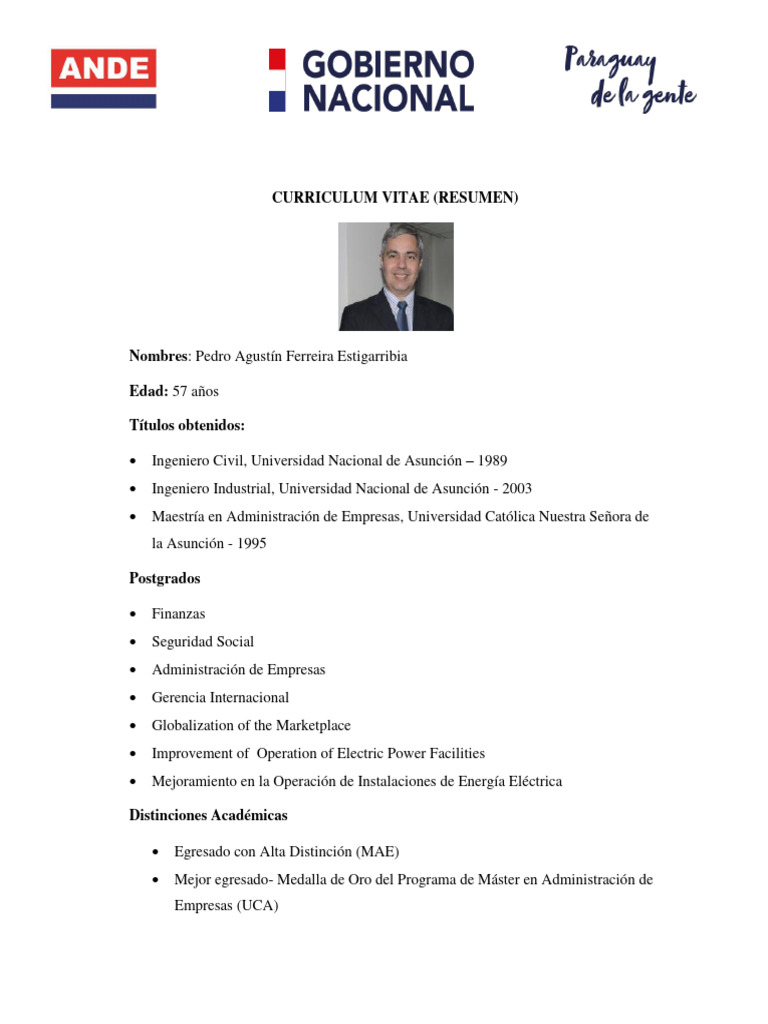 Curriculum Vitae Pedro Ferreira | PDF | Ingeniería | Business