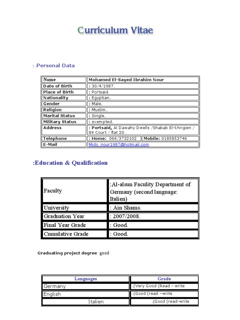 Mohamed Nour: CV & Work Experience | PDF