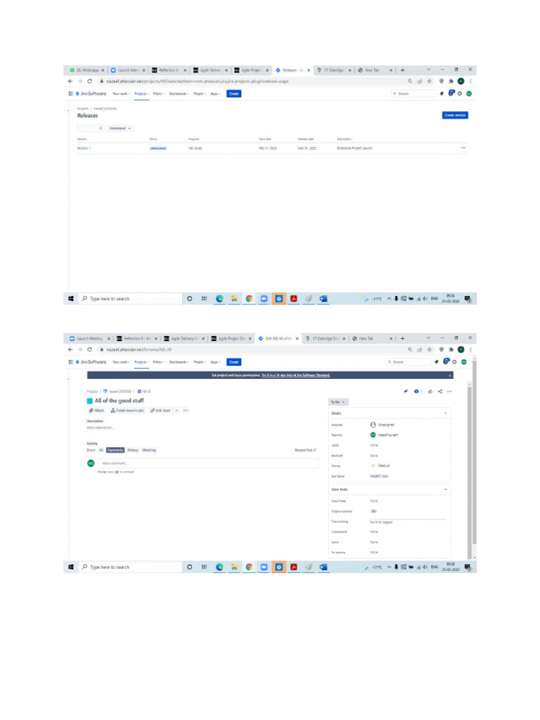 Jira Lab Assignment 5 | PDF