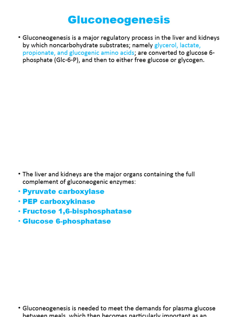 Gluconeogenesis 3B | PDF | Biochemistry | Chemistry