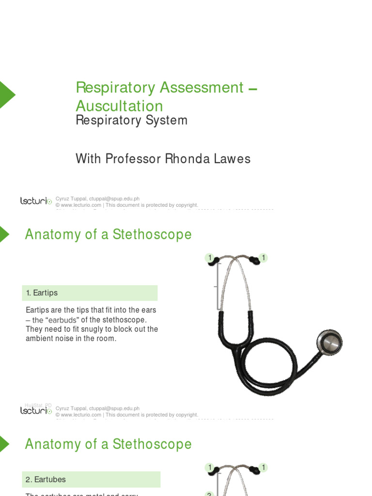 Slides_Nursing_Respiratory_Assessment_Auscultation | PDF | Chronic ...