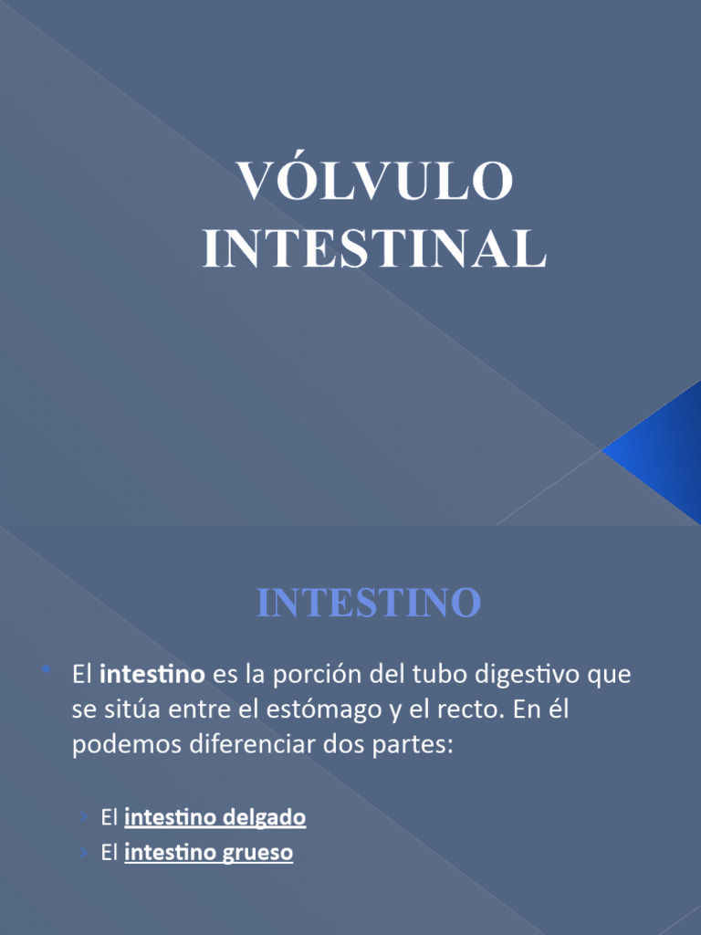 Vólvulo Intestinal: Tipos y Tratamiento | PDF | Tracto gastrointestinal ...