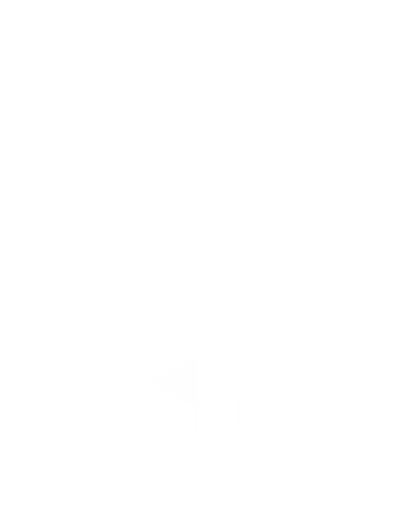 Logo CCT | PDF