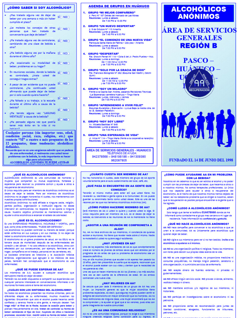 Triptico Area Huanuco | PDF | Alcoholismo | alcoholicos anonimos