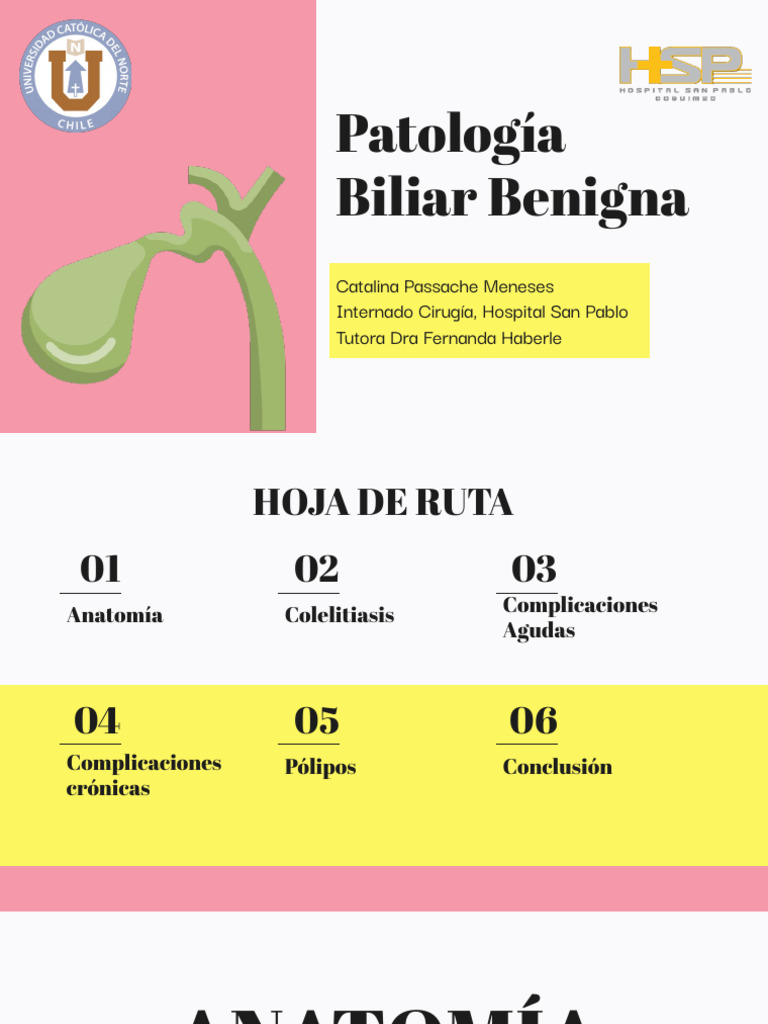 Patología Biliar Benigna: Colelitiasis y Complicaciones | PDF ...