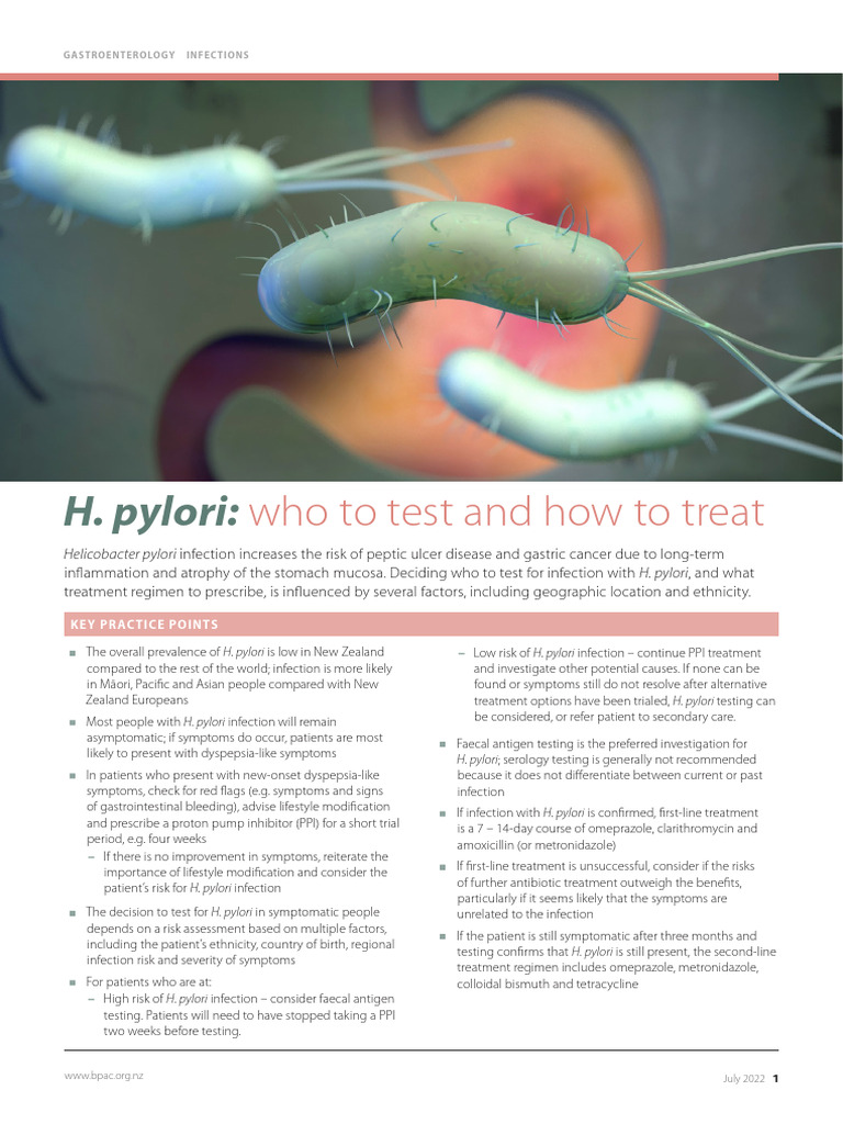 H Pylori | PDF | Indigestion | Gastroenterology