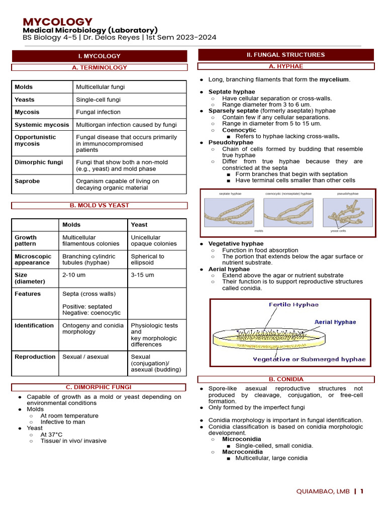 Mycology | PDF | Fungus | Sexual Reproduction