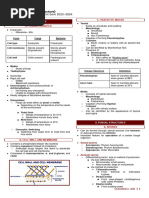 Sitting Balance Scale | PDF | Shoulder | Anatomical Terms Of Motion