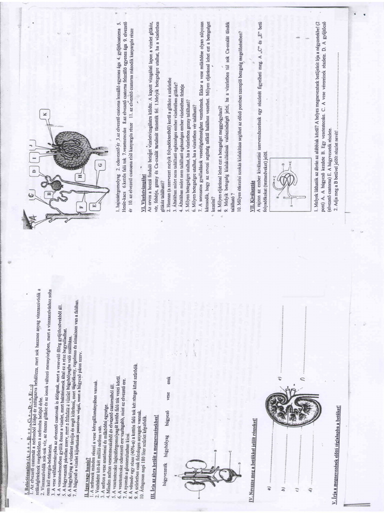 2020.12.03. Kivál. Gyak. 2. | PDF