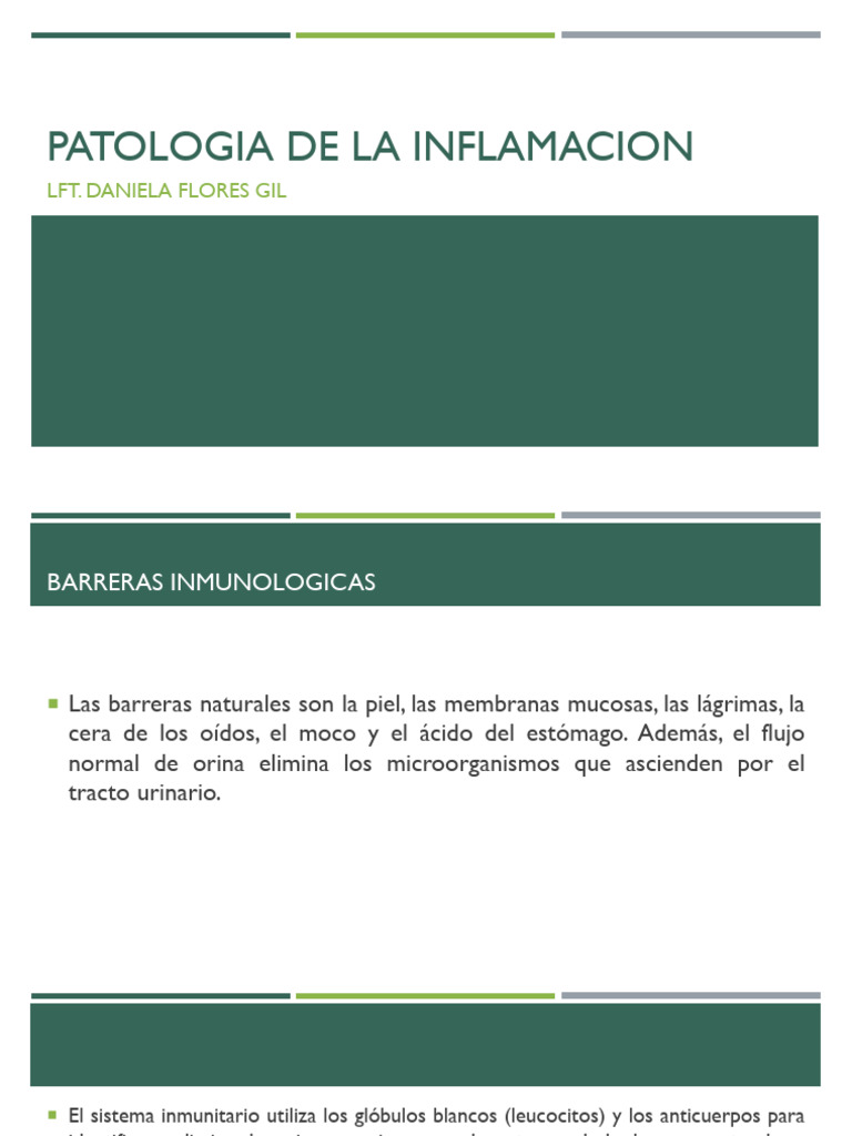 Barreras y Procesos de Inflamación | PDF | Inflamación | Sistema inmune