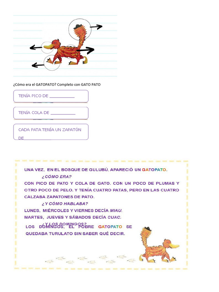 actividades de gato pato | PDF