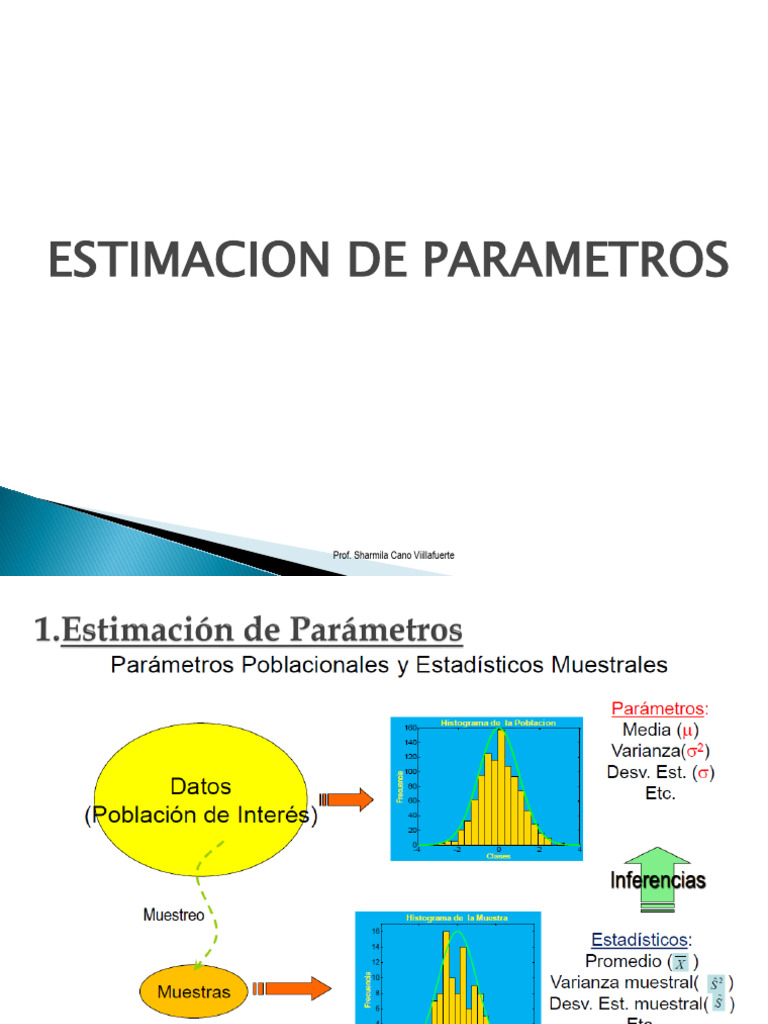 Estimacion de Parametros | PDF
