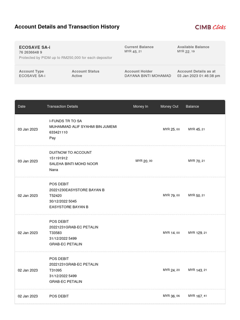 Account Details and Transaction History: Ecosave Sa-I | PDF | Debit ...