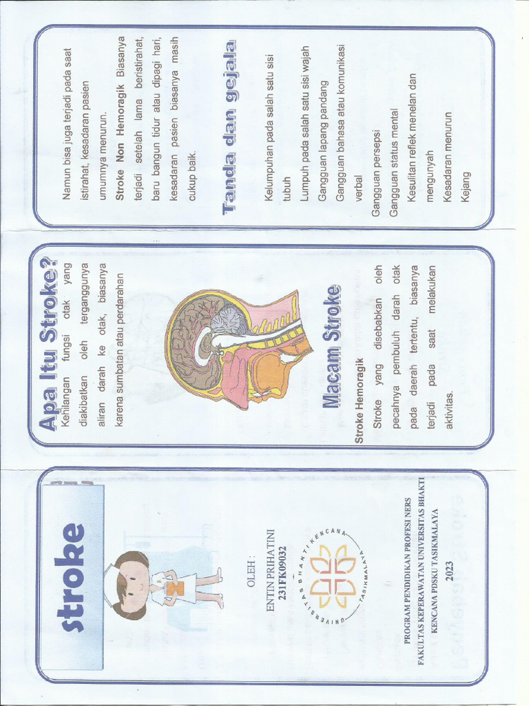 Leaflet Stroke | PDF