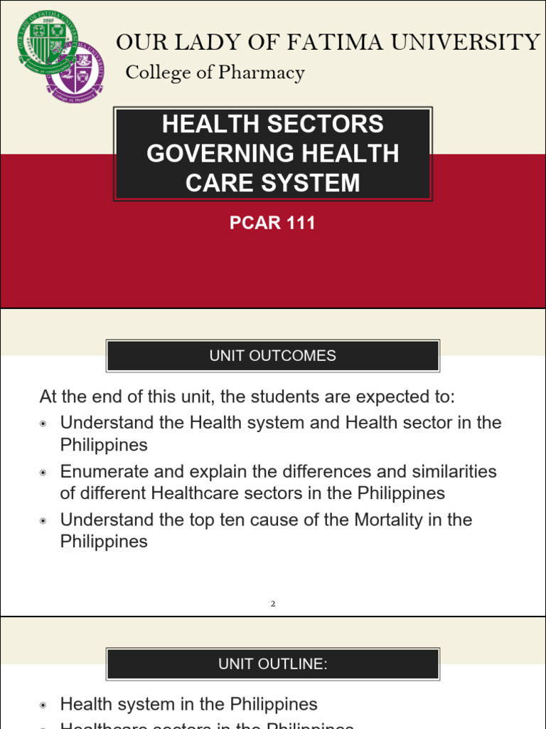 Overview of Health Sectors in the Philippines | PDF | Public Health ...