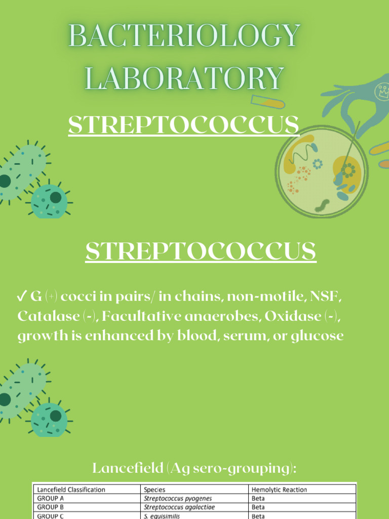 Streptococcus | PDF