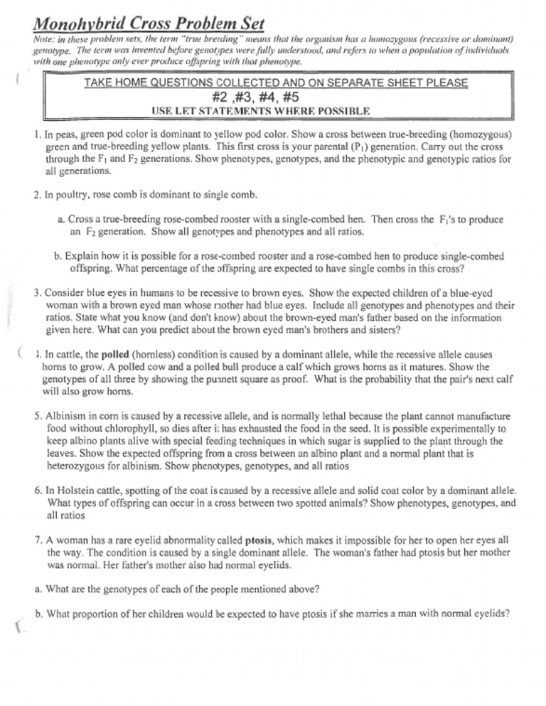 19 - Practice Problems Monohybrid Crosses | PDF