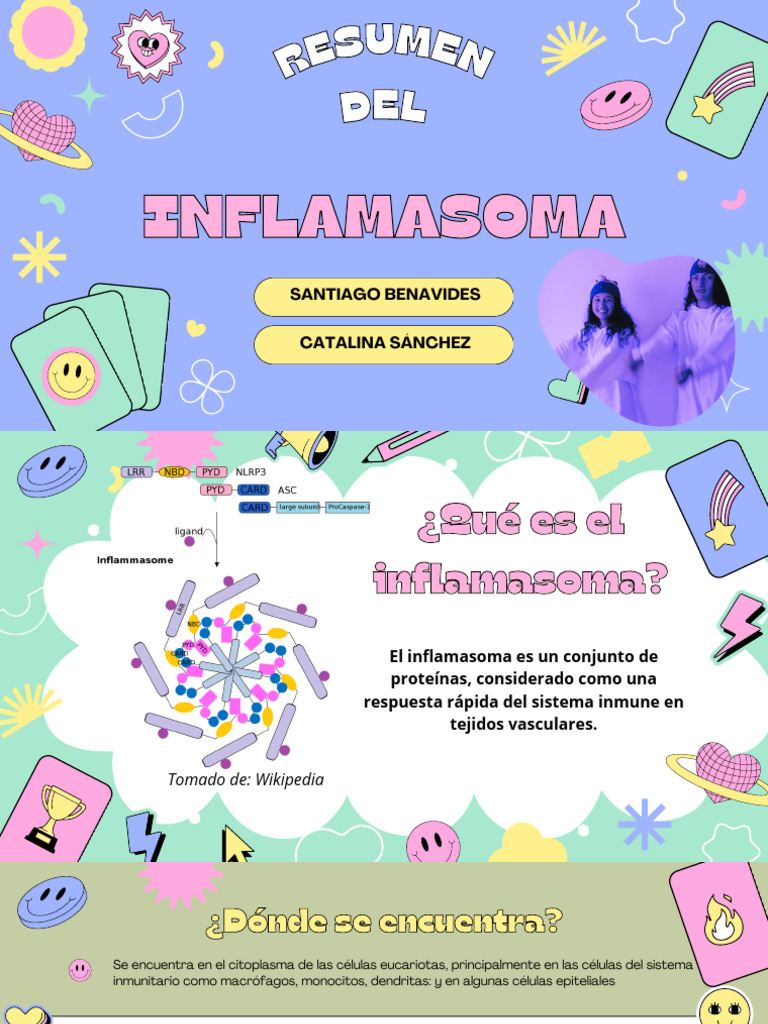 Resumen Del Inflamasoma | PDF