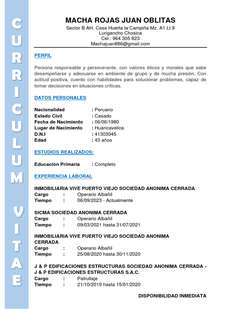 Curriculum Vitae Ayudante | PDF