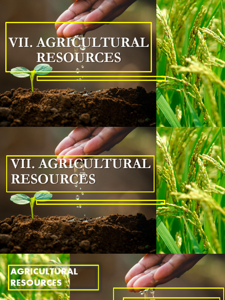 Agricultural Resource Base | PDF | Genetically Modified Organism ...