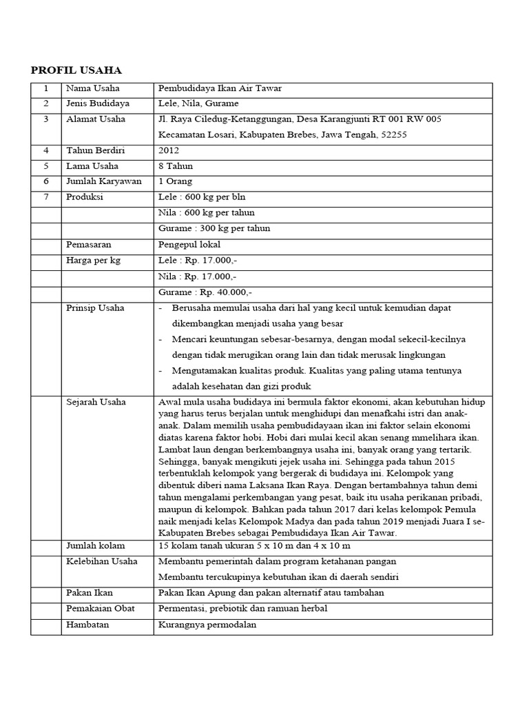 Profil Usaha | PDF